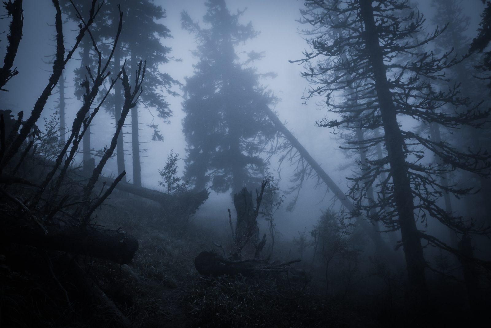 Encyclopedia of Horror Lore Archive - Puzzle Box Horror