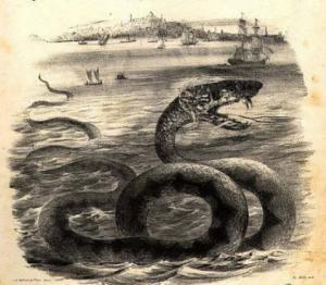 Curse of The River Serpent - Urban Legend - Puzzle Box Horror